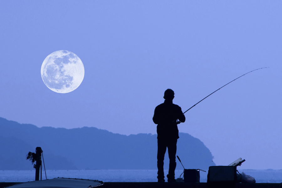 Do Bite Times Influence Fishing? - The Fishing Website