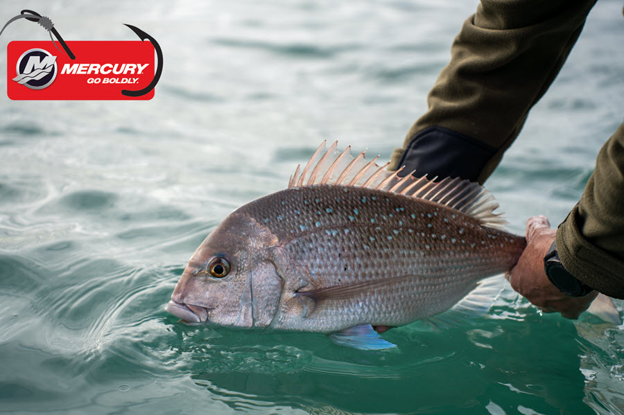 NZ's Latest Fishing Reports - 15/12/22 - The Fishing Website
