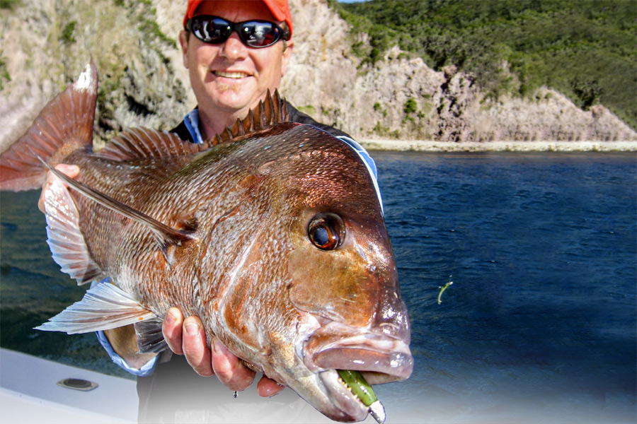 Working Soft-Baits - The Fishing Website