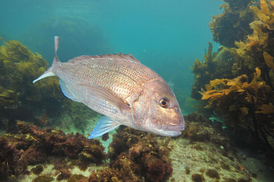 How to Find Fishing Spots - The Fishing Website