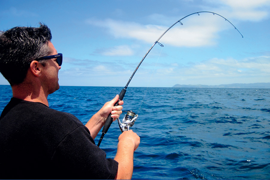 Micro jigging basics - The Fishing Website