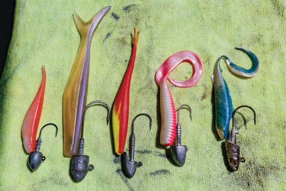 Softbaiting For Beginners - The Fishing Website