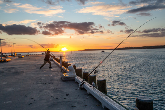 Wharf fishing - 10 things you need to know - The Fishing Website