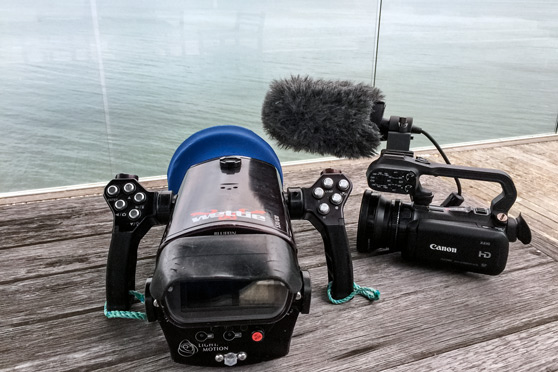 Photographing your catch - The Fishing Website