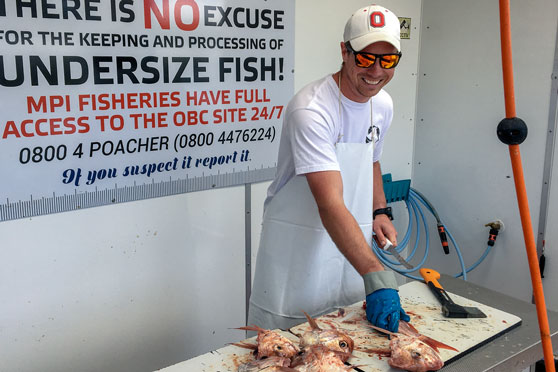 OBC filleting service supports Kai Ika - The Fishing Website