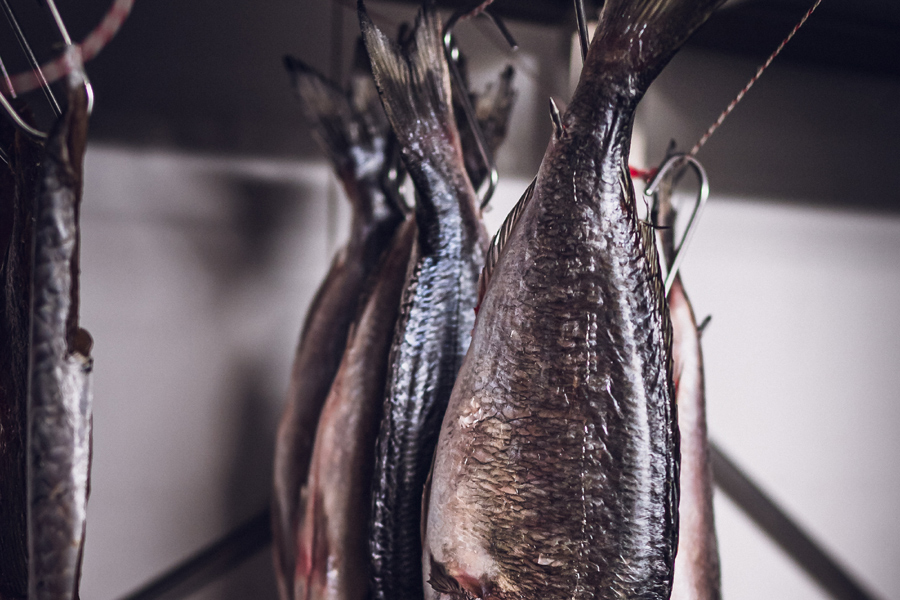 How to Dry Age Fish - The Fishing Website