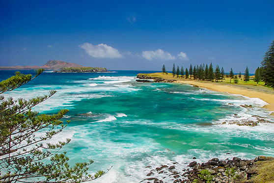 Fishing New Zealand's Offshore Islands - The Fishing Website