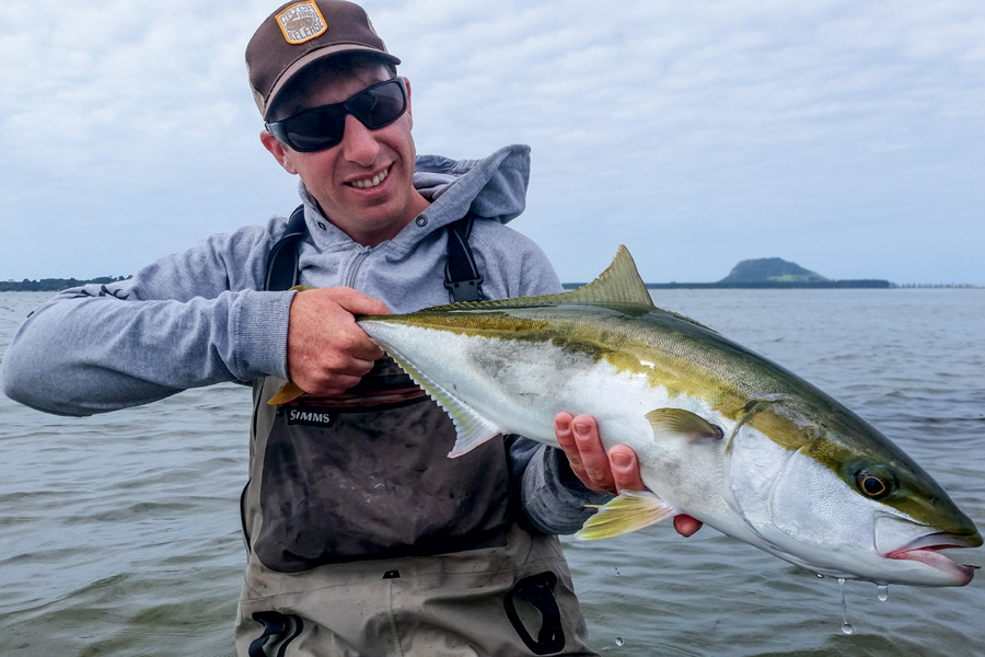Saltwater flyfishing for kingfish - The Fishing Website