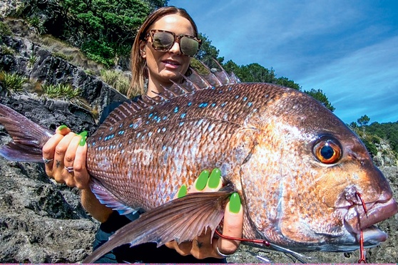 Landbased Fishing in Summer: Part 1 - The Fishing Website